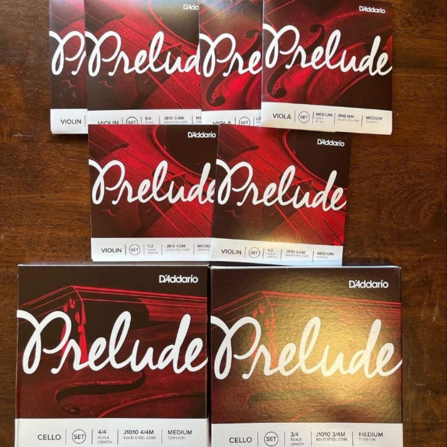 Viola Strings Long Prelude | Max Lee Music